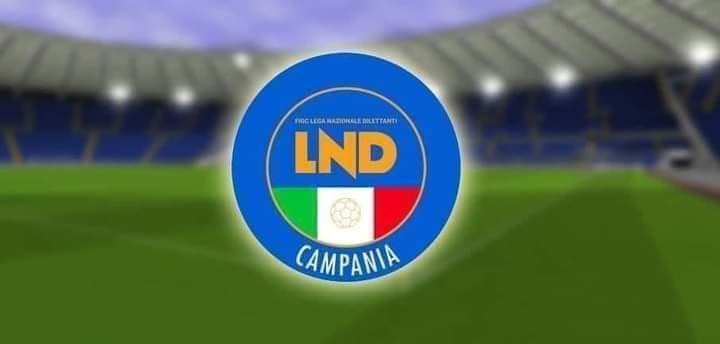 Guida alle affiliazioni, cambi sede e/o denominazione, fusioni ...