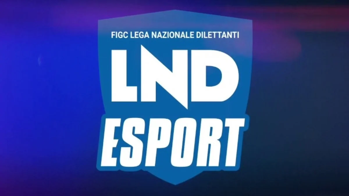 Campo virtuale, emozioni reali: gli ingredienti della LND Gaming Week ...